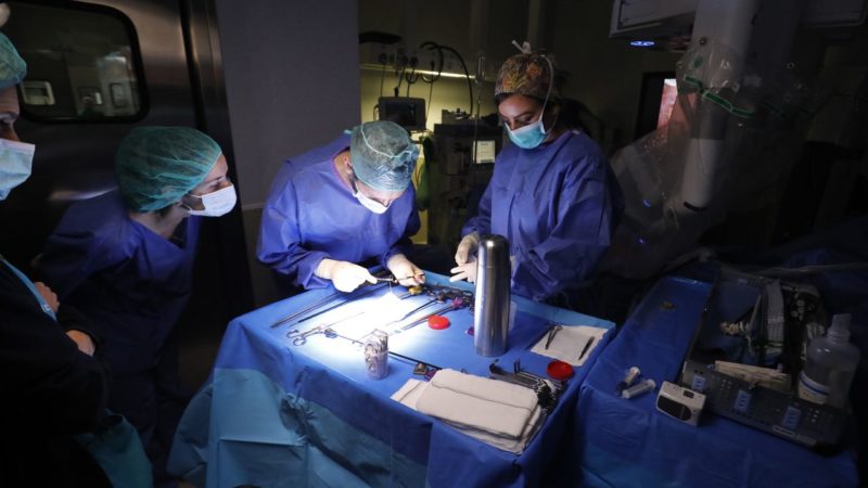 Cinco médicos están aptos para trabajar en un hospital colectivo ...